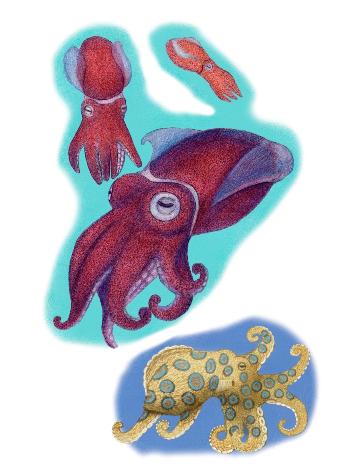 Wild and Wonderful Life on Planet Earth