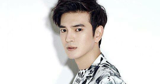 [Profil dan Fakta Member TraxX 2018 #1] Ubah Nama, Genre dan Tambah ...