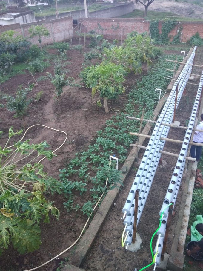 What is Hydroponic Kheti | क्या होता है हाइड्रोपेनिक्स (Hydroponic)