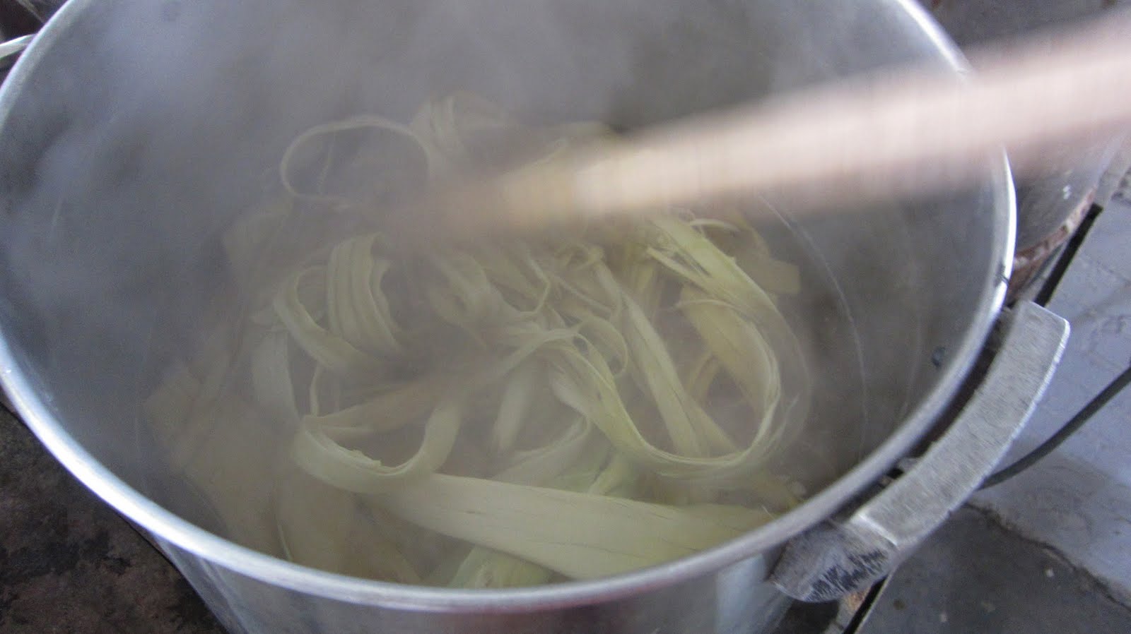 RADHA • PANDEY: Fall 2011 : Japanese Papermaking