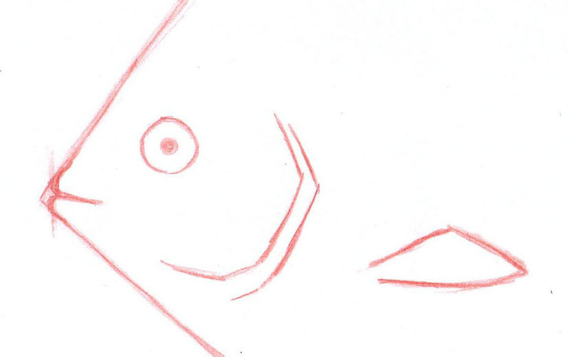 How to Draw a Fish: Step by step | Drawing Lessons