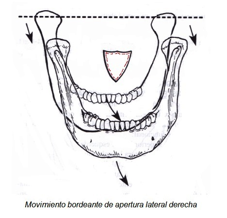 Oclusión en Odontología: Cinemática Mandibular