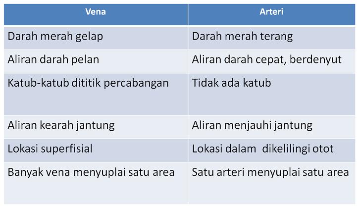 CARA PEMASANGAN INFUS | FRIEND OF THE NIGHT