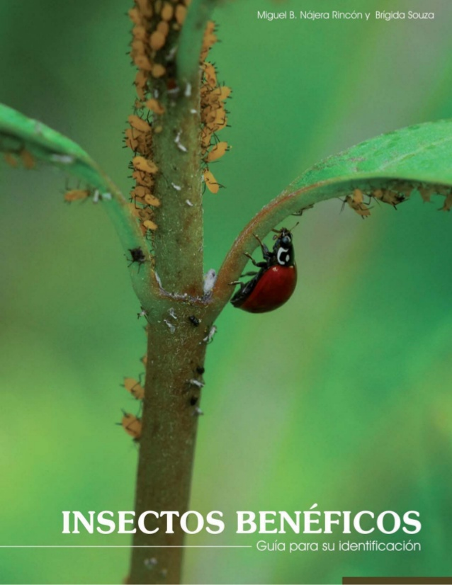 Insectos beneficiosos. Guía para su identificación. | Red de ...