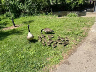 Stumbling along the Spiritual Path