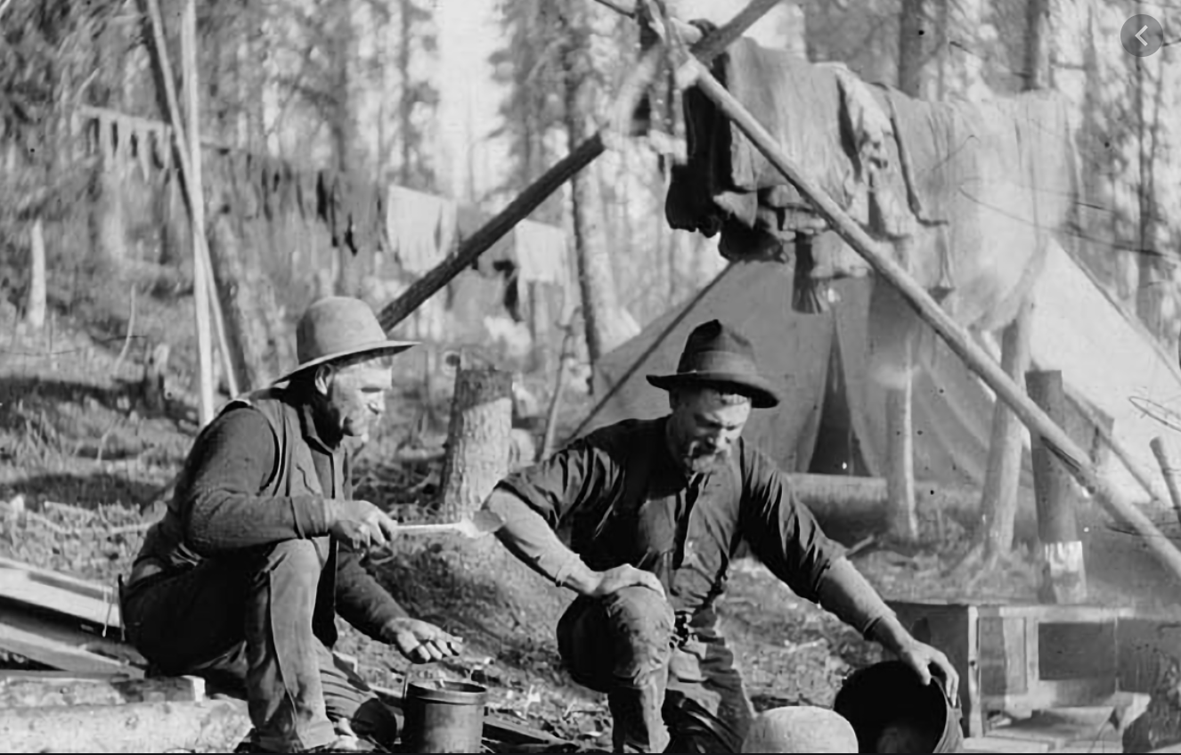 Sourdough - Using an 1898 starter, born of the Klondike Gold Rush.