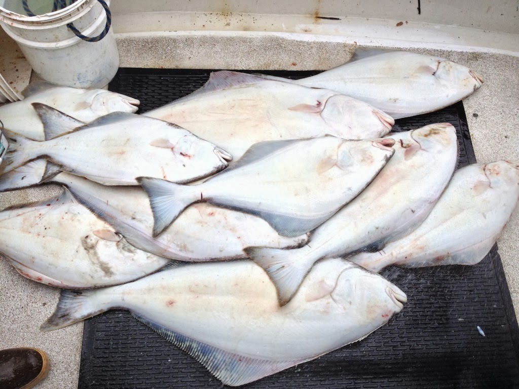 Adventure - Fishing with Dan Donich Charter – Full-Day Halibut Trip ...