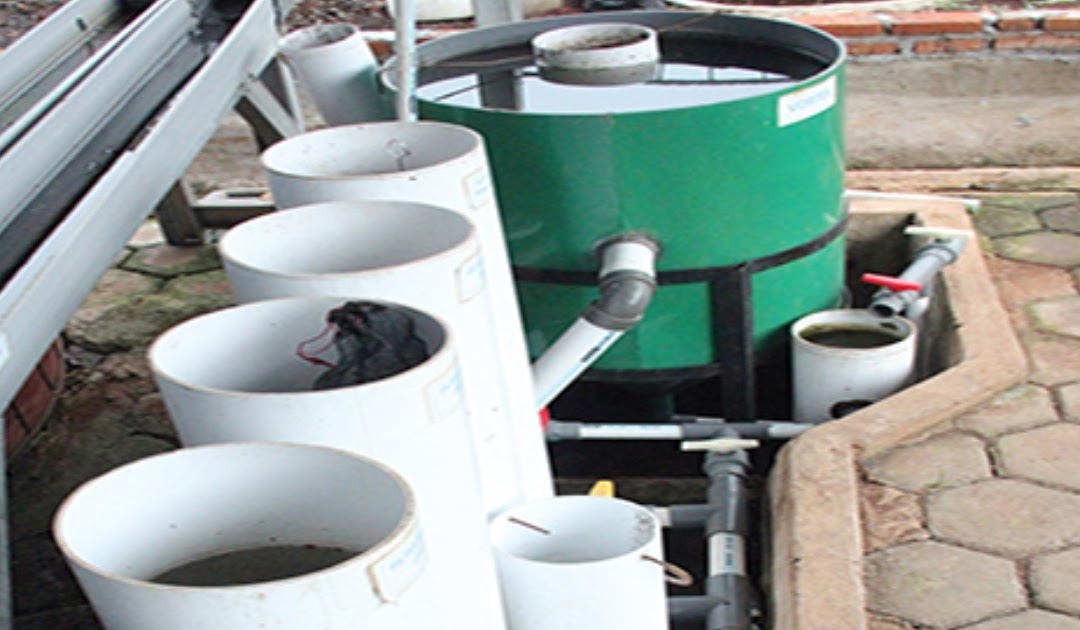 How to Cultivate Fish with Recirculation System - PURWAFARM