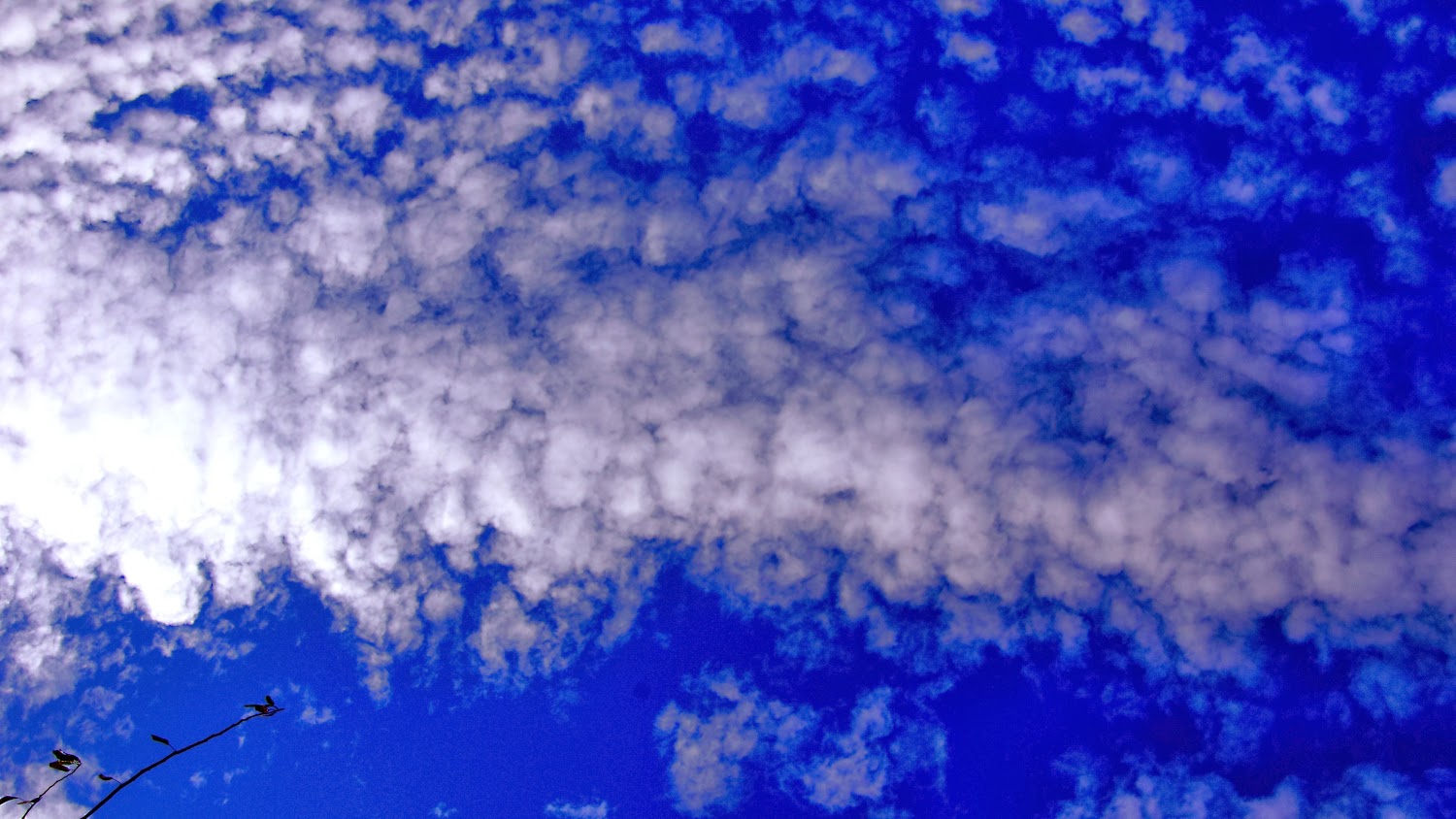 scorchfield: Despre cer -ecuație verdească