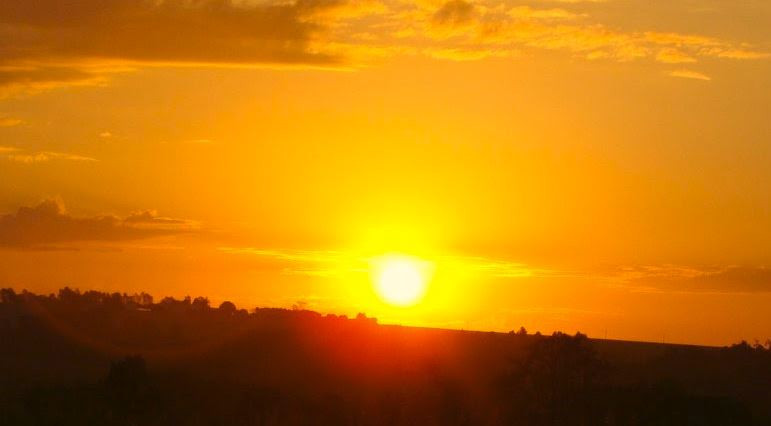 Tania Tait: Observações sob um sol de 40 graus