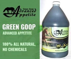 Brian's Buffalo Raceway Selections