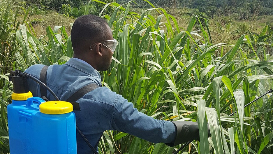 New meta-study reinforces evidence that the herbicide glyphosate is a ...