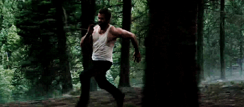 cinematic corner.: (Probably endless) list of things I love about Logan ...