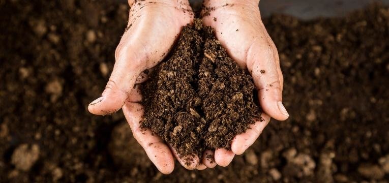 La Tierra, Elemento natural