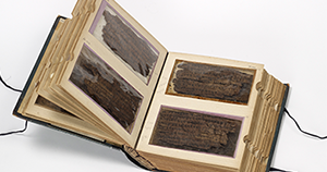 Helge Scherlund's eLearning News: Carbon dating finds Bakhshali ...