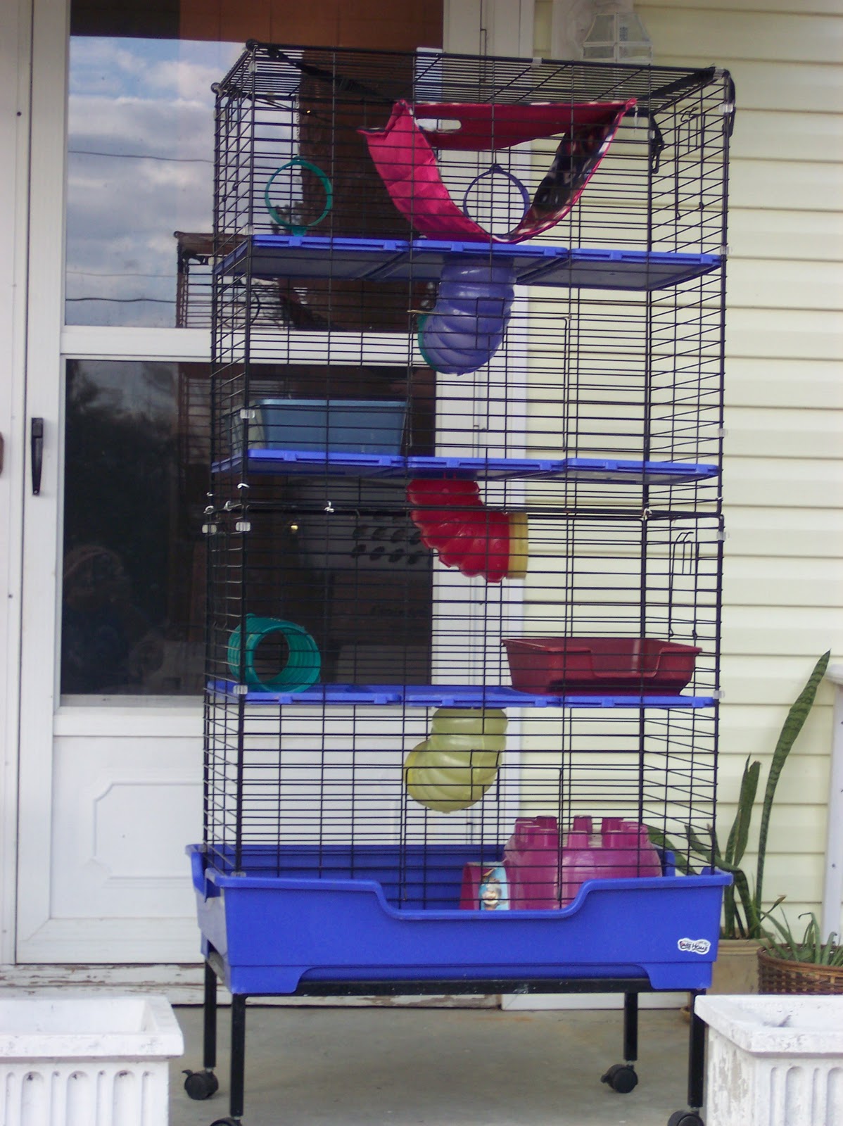 Scrapping by Design: Spring Cleaning