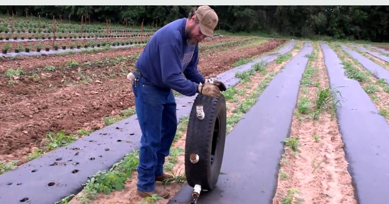 MulchIndia: Plastic Mulching