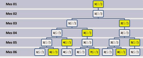 LOS LOGARÍTMICOS: Serie de Fibonacci