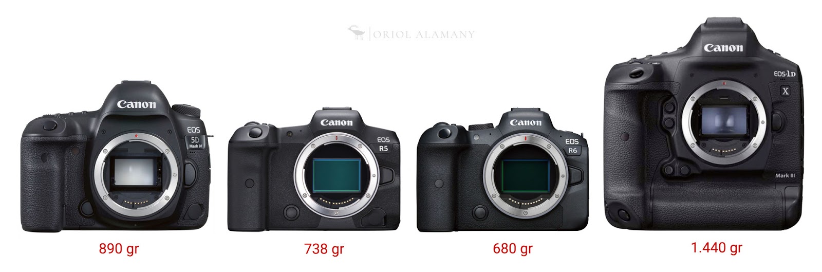 Oriol Alamany - Imágenes Vivas: CANON DA UN GOLPE SOBRE LA MESA CON LAS ...