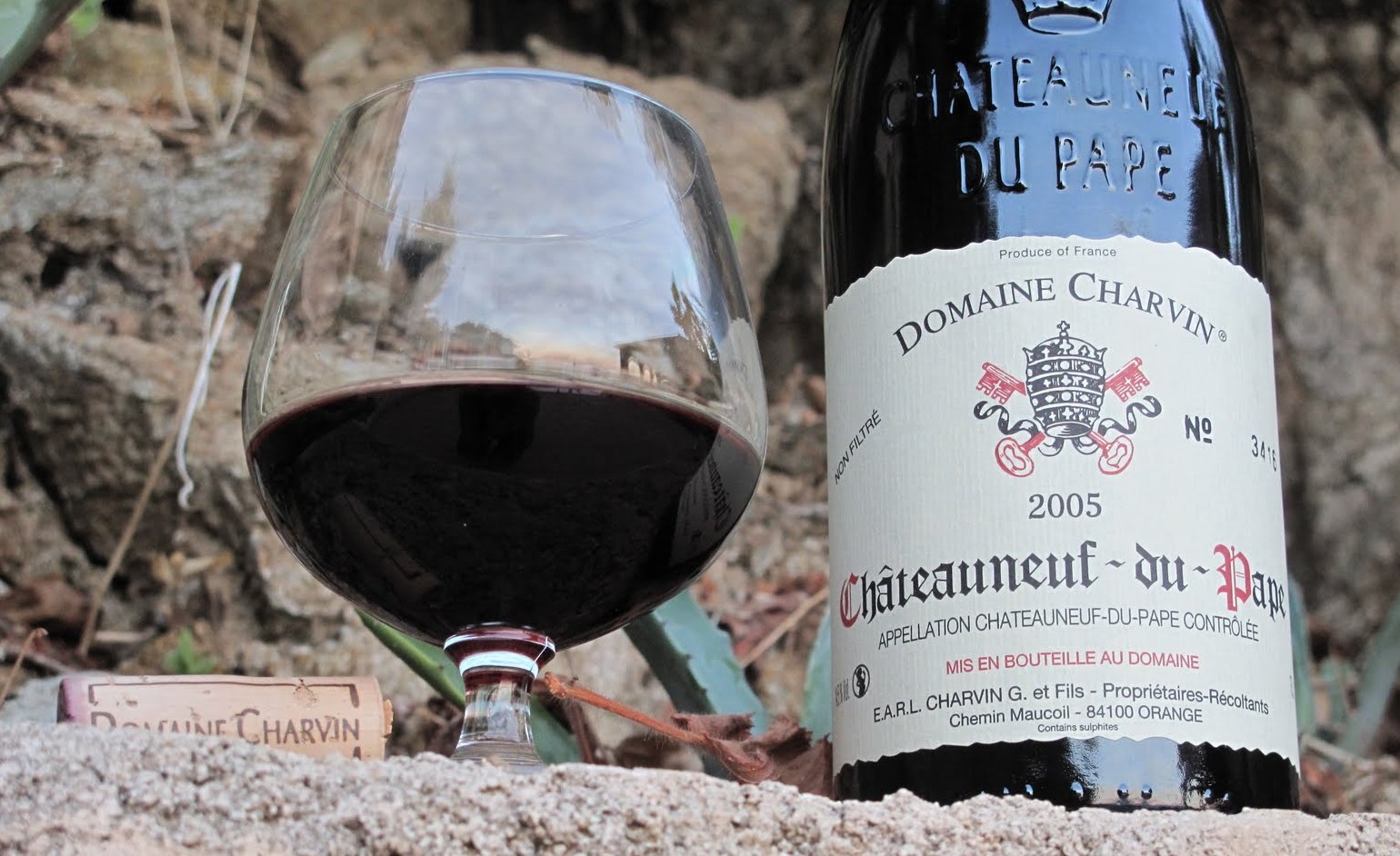 Dicas Práticas de Francês para Brasileiros: Os Melhores Vinhos Franceses