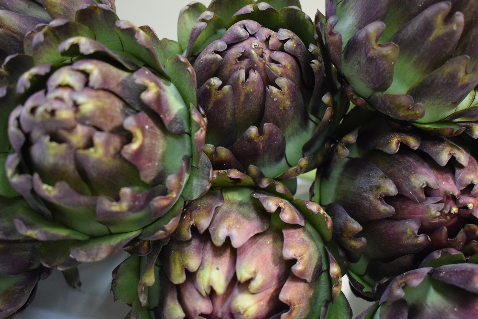 Conheça os benefícios da alcachofra, o produto da semana (5/11)