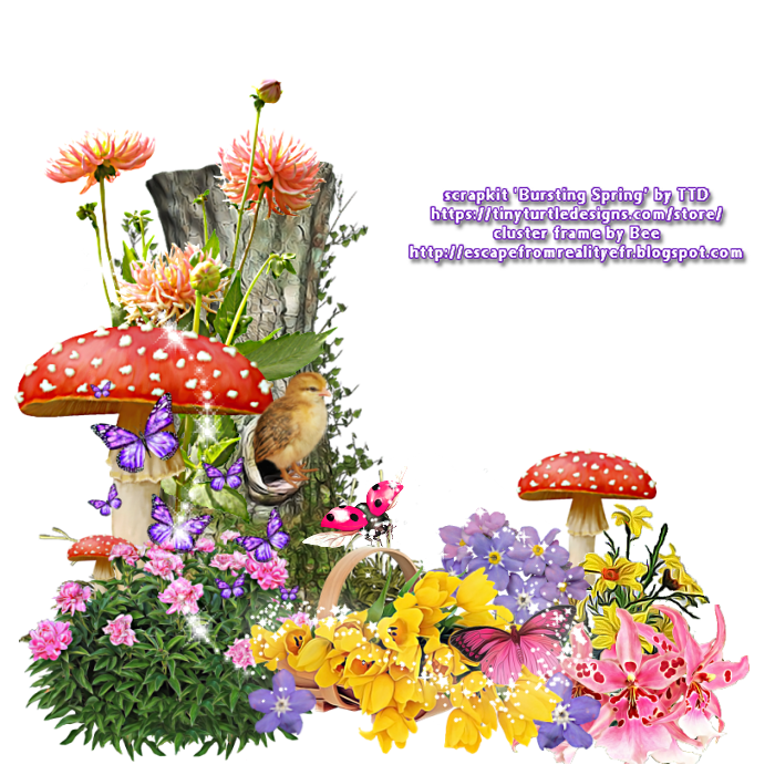 Escape From Reality Blog: FTU 'Bursting Spring' Cluster Frames TTD