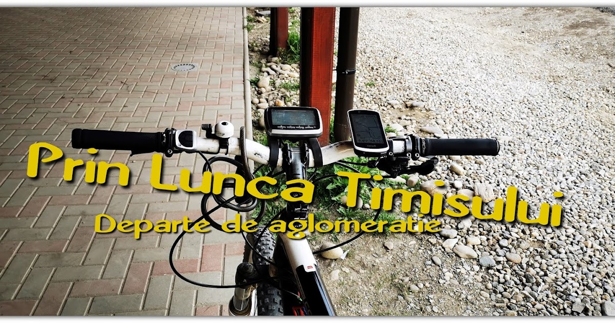 O zi plină de energie - Lunca Timisului