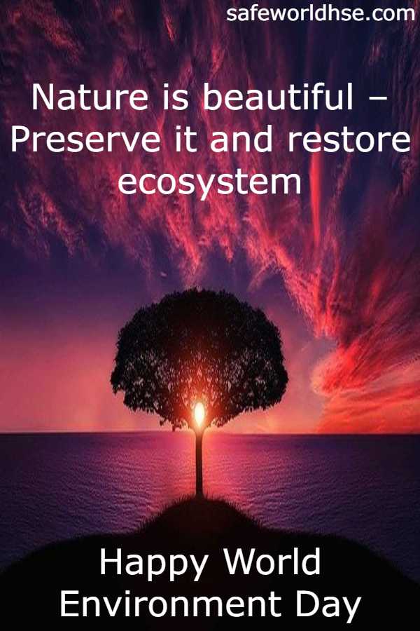 Best Ecosystem restoration slogans, quotes, messages, images posters ...