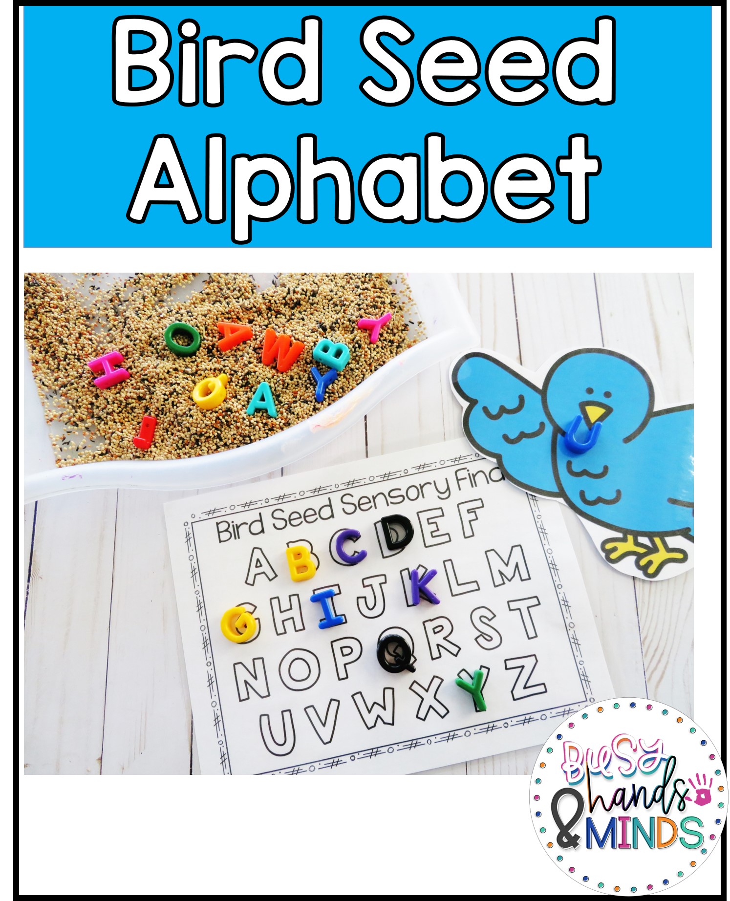 Birds Preschool Theme | Busy Hands and Minds