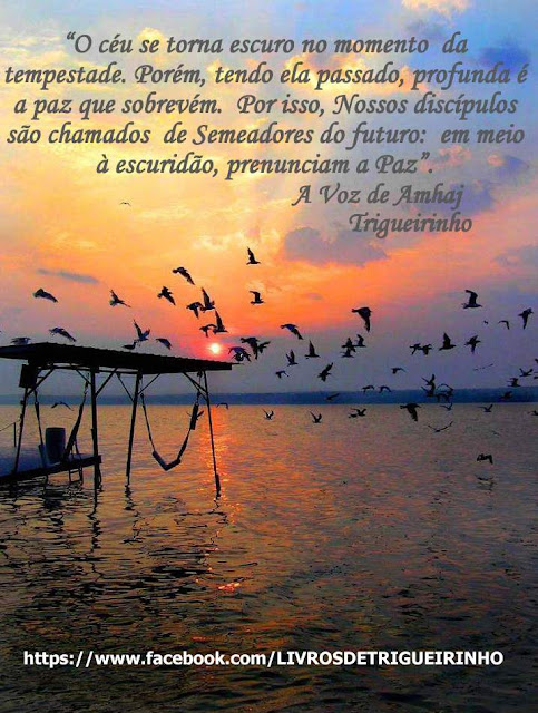 SOMOS TODOS UM COM O UNIVERSO: A Voz de Amhaj - Trigueirinho