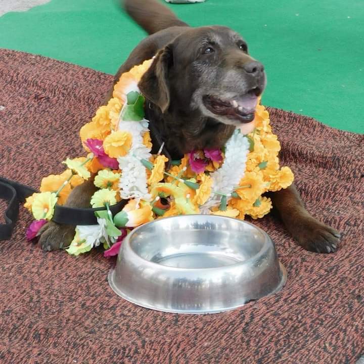 उत्तराखण्ड में बुक्सा जनजाति/Buxa Tribe