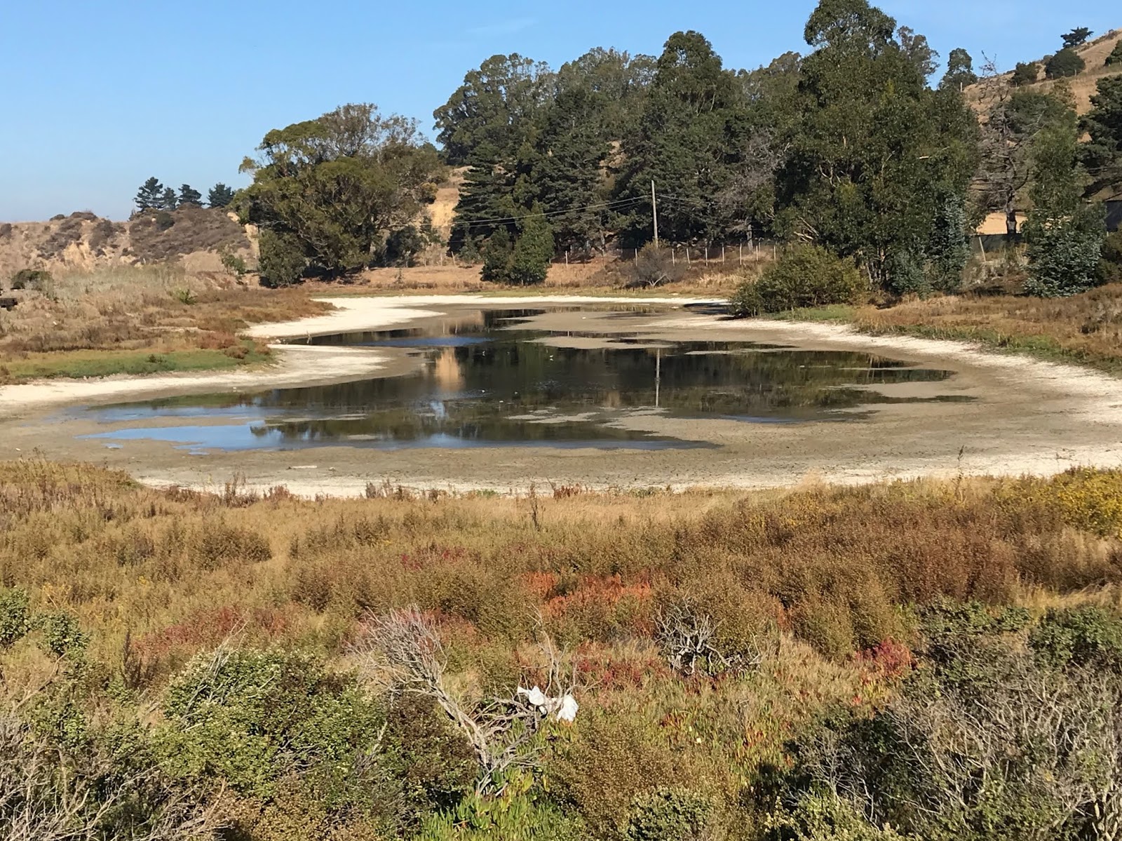 wild women walking: Point Molate Beach Park | Point San Pablo Yacht Harbor