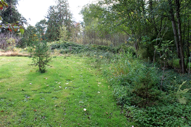 Little Swamp Creek: Streamside Planting Update