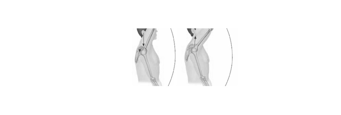 布魯斯運動教室: 什麼是關節中心化(Joint centration)?