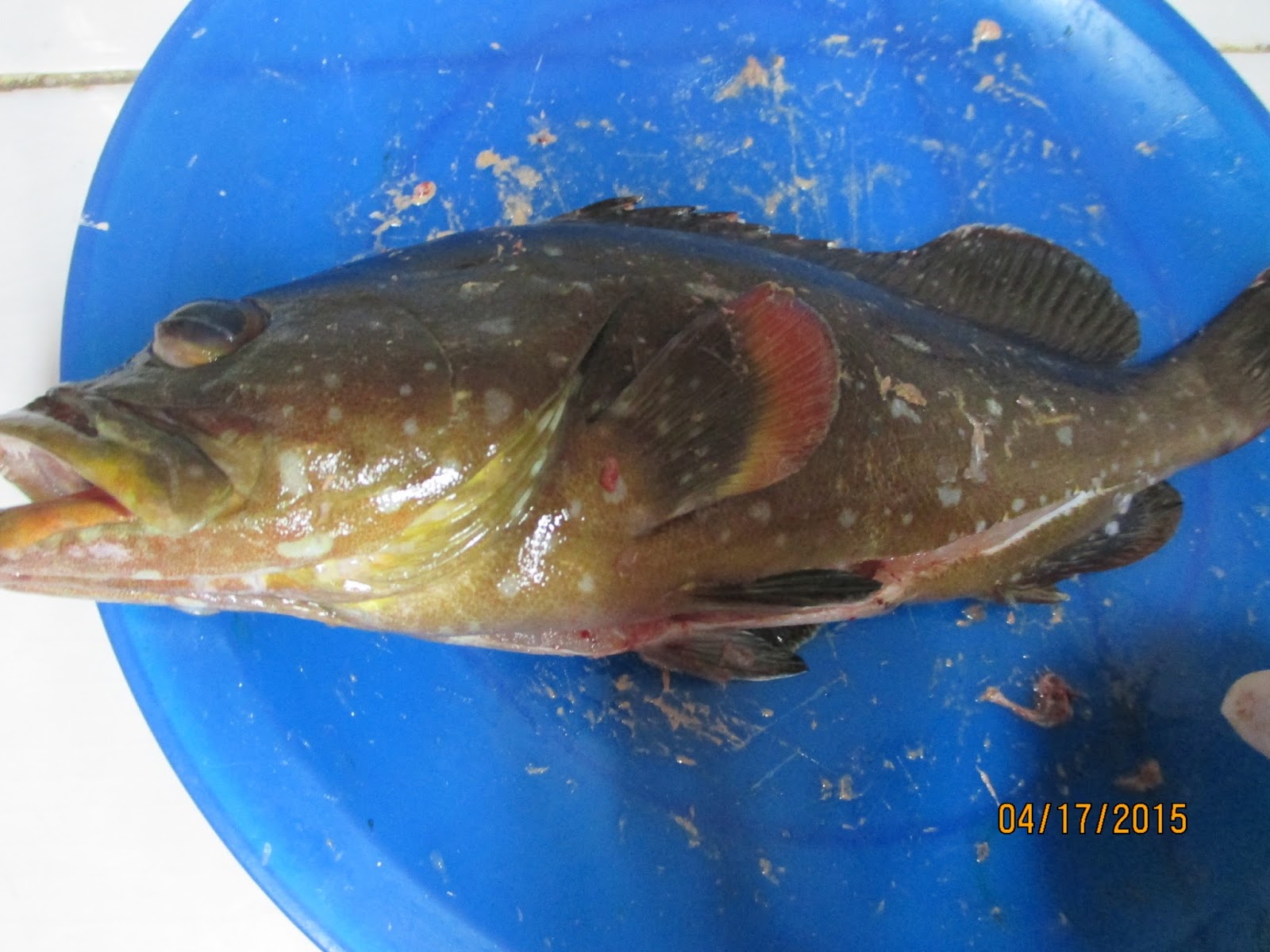 Laboratorio de Ecología de Pesquerías - Facultad de Ciencias del Mar ...