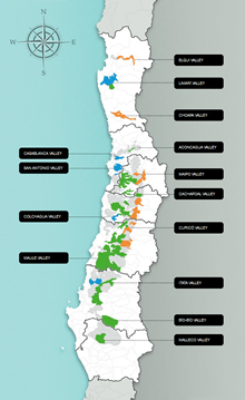 Try that wine: Tabali Syrah 2007 Reserva Limari Valley Chile