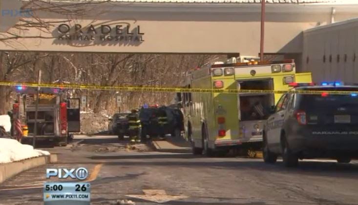 MEC&F Expert Engineers : HELIUM TANK EXPLOSION AT THE ORADEL ANIMAL ...