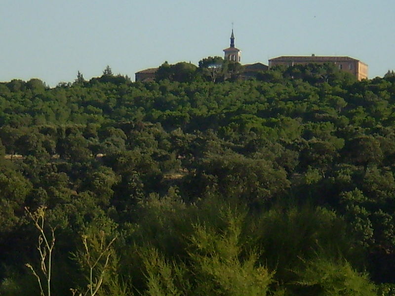 El Monte de El Pardo