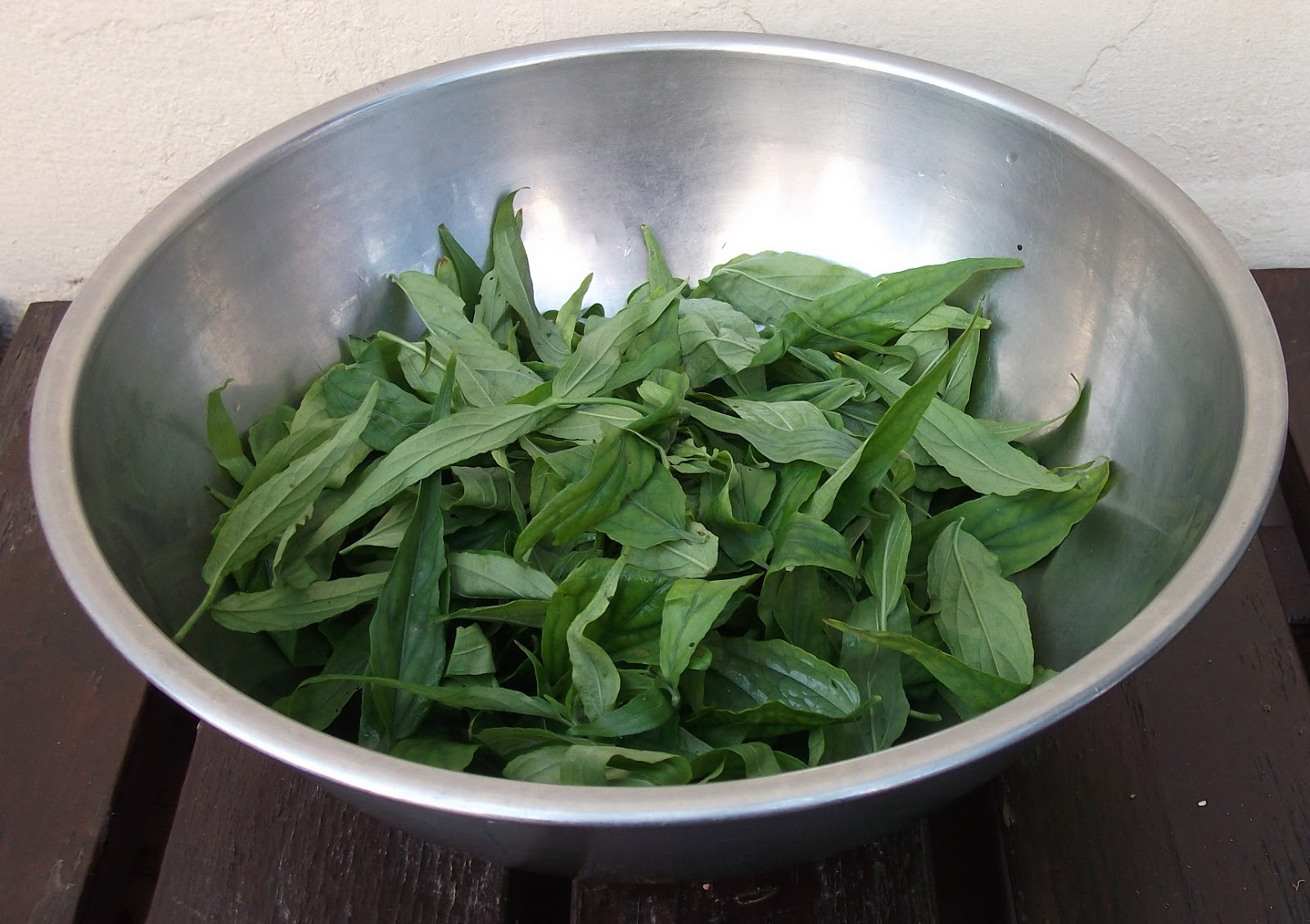 Sabah Snake Grass Dealer Singapore: Prices of Sabah Snake Grass Leaves