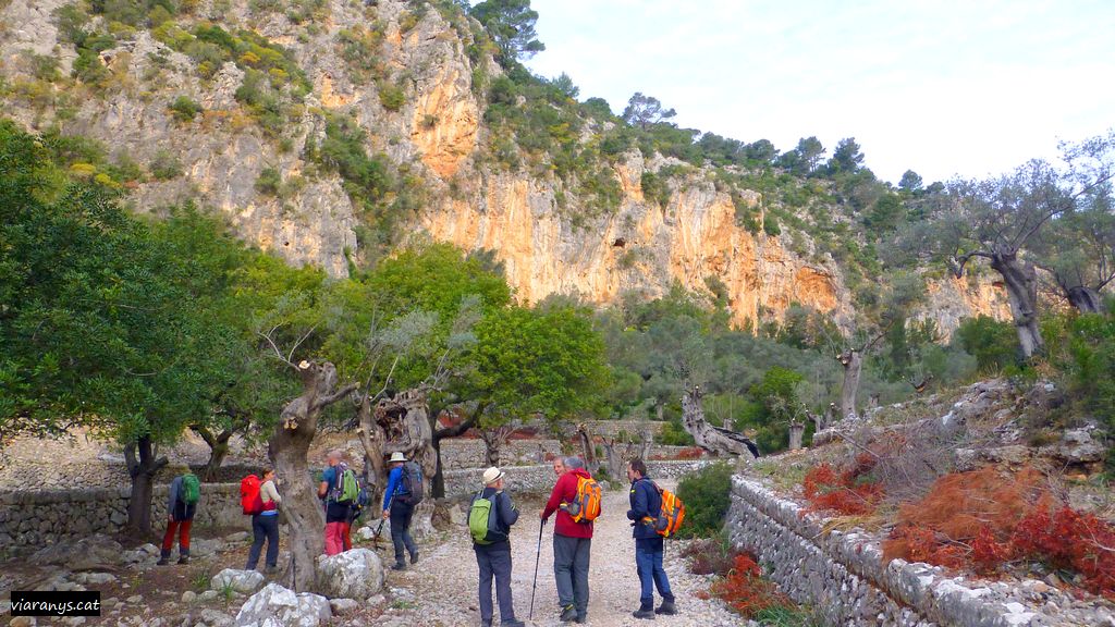Viaranys: Forat de Can Bajoca a la serra Mitjana