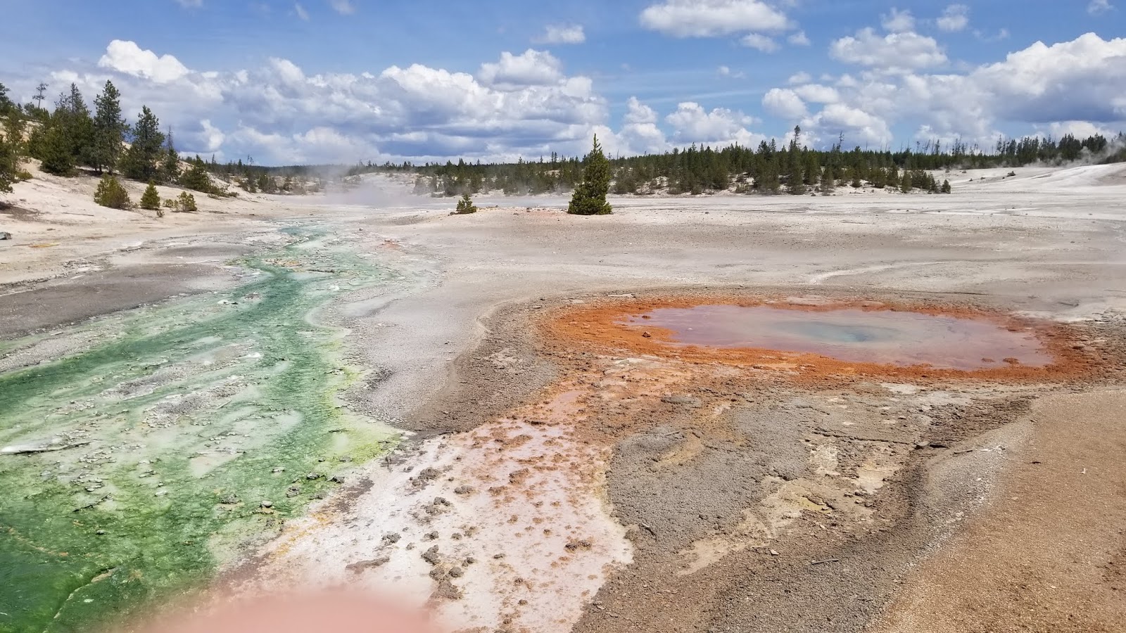 RAVIs: Yellowstone National Park & Grand Teton National Park ; 2019