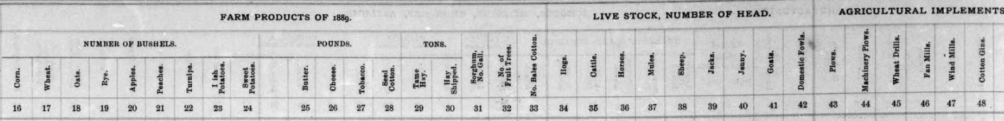 My Ancestor's Name: Exploring the Cherokee 1890 Census