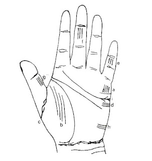 How To Check Child Gender From Children Lines In Indian Palmistry ...