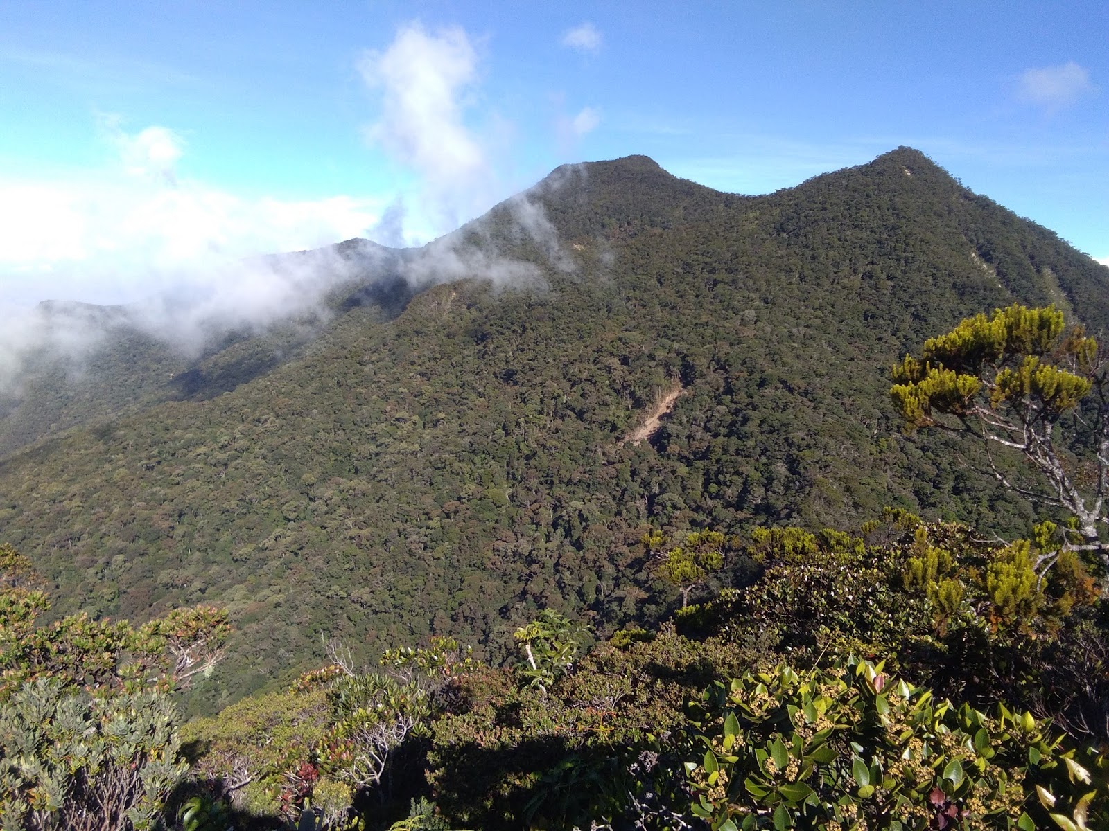 MT TRUSMADI VIA SINUA: PENDAKIAN GUNUNG TRUSMADI