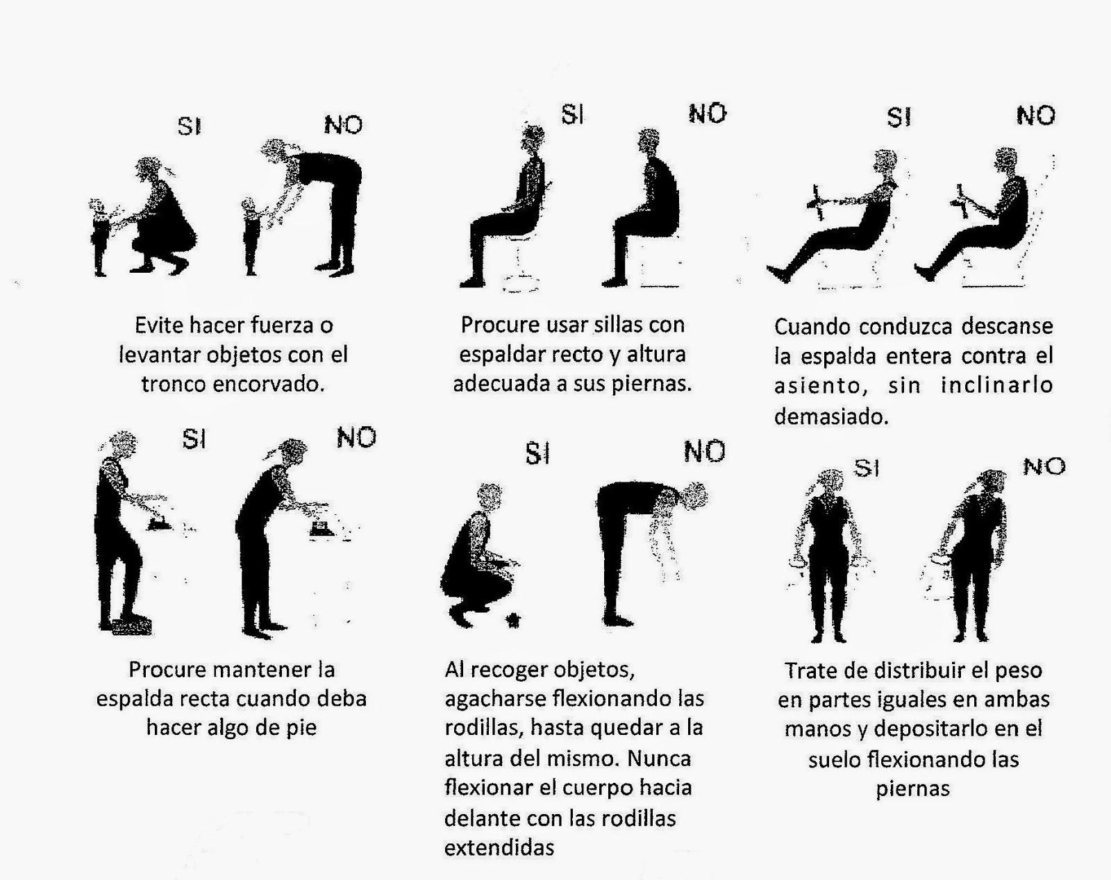 La ergonomía en el trabajo: La ergonomía