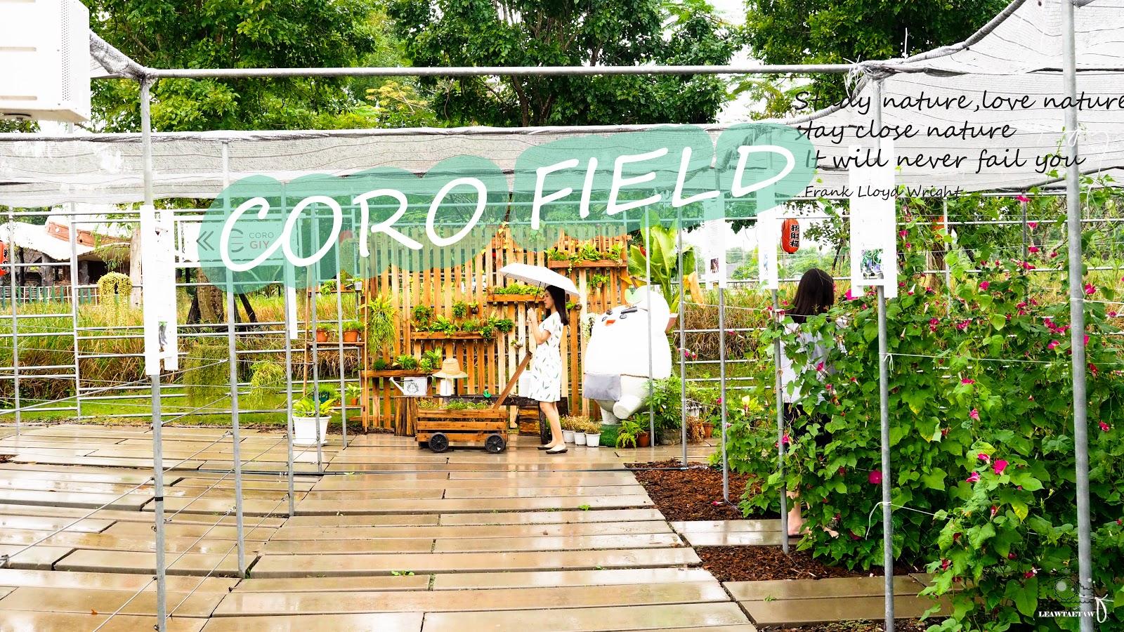 [รีวิว] CORO FIELD ความสุขแบบเรียบง่าย ปล่อยชีวิตไปตามจังหวะแบบช้าๆ กับ ...