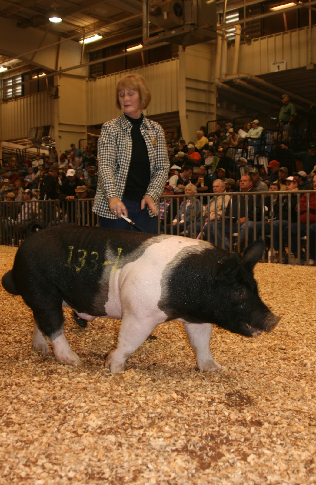 NSR Show & Sale Results: 2012 NSR Fall Classic Crossbred Boar Show Results