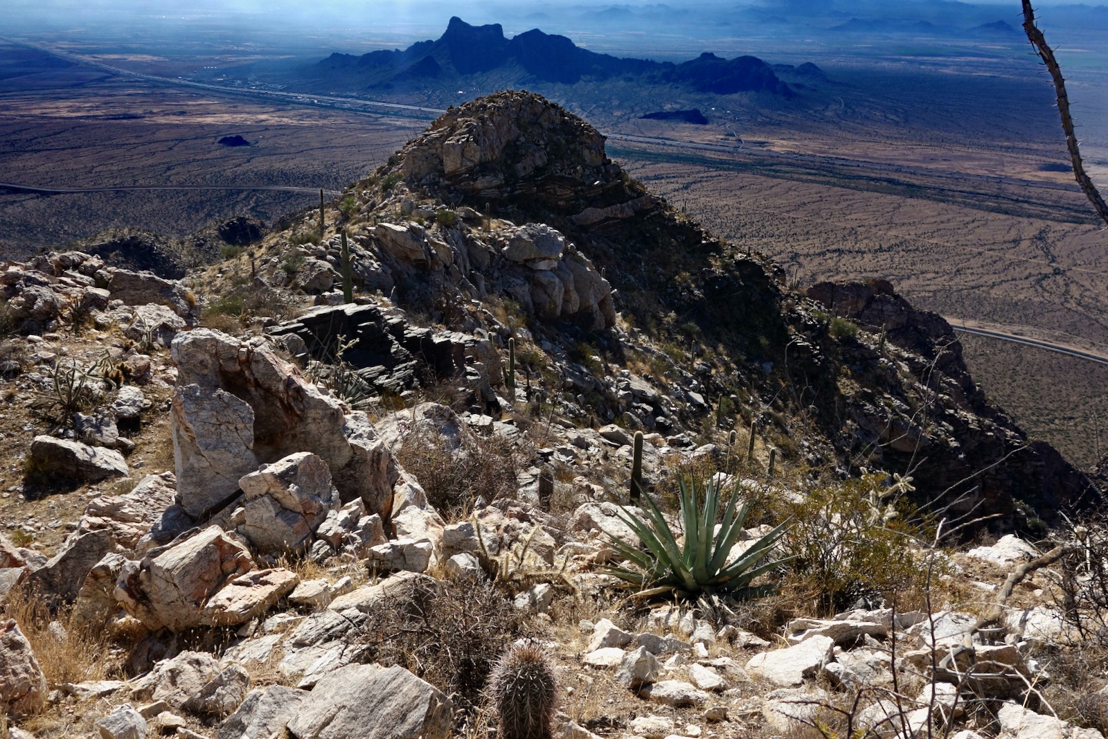 Earthline: The American West: Newman Peak, 4,511'; South Newman, 4,209 ...