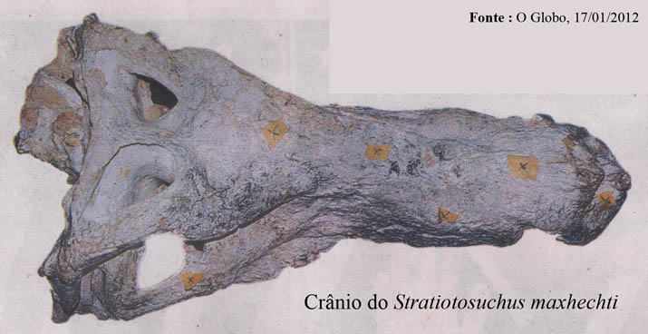 PUBLICADOS BRASIL: Achado no Brasil o "Elo Perdido" dos Crocodilos