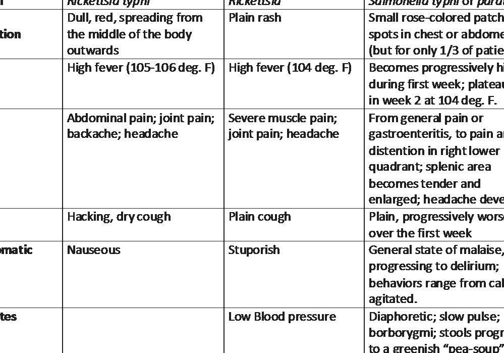 Typhus - Typhus Cure
